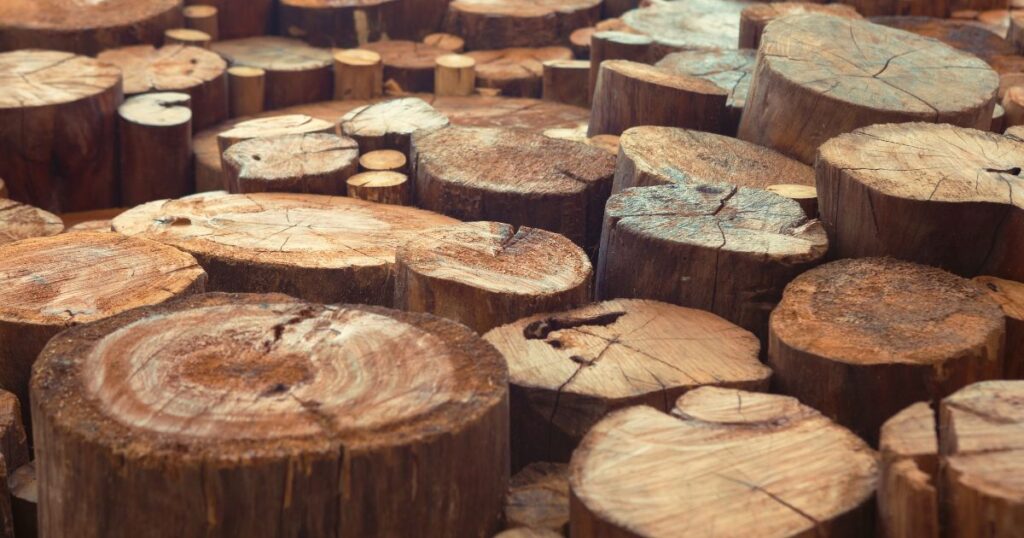 Madera De Teka: Usos Y Características - Majofesa